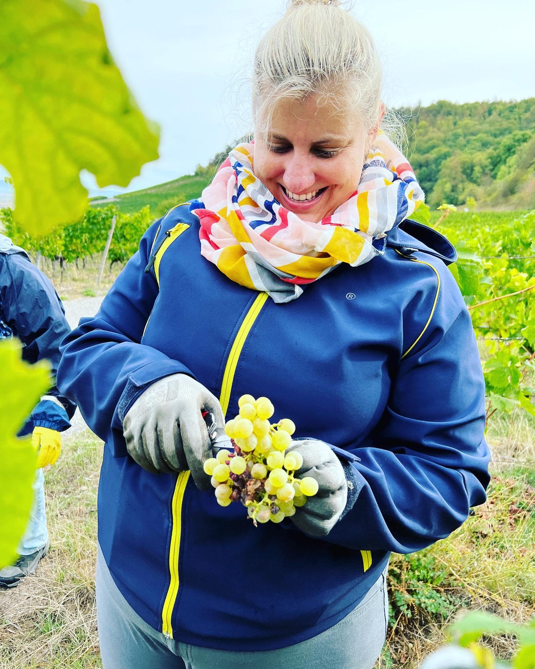 Offizielle LUKAS SCHMIDT Website - Weine für Visionäre – Lukas Schmidt Wein